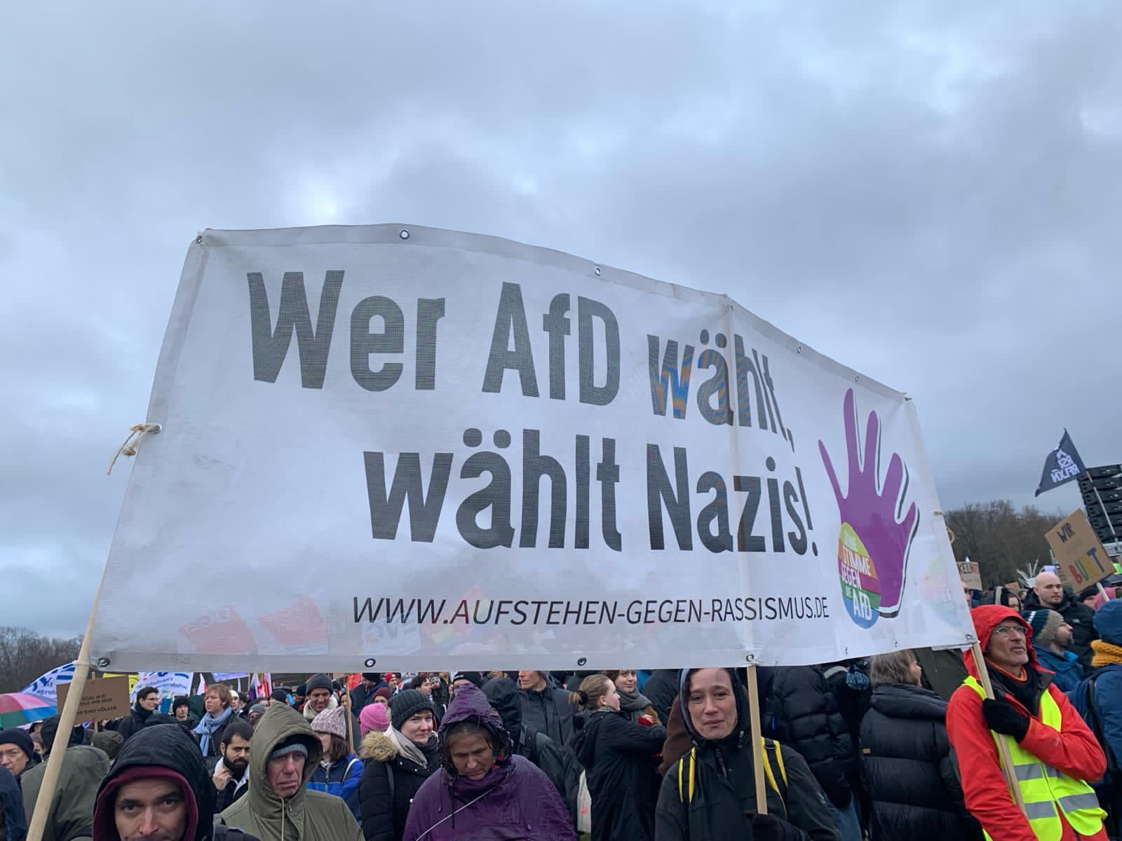 AfD support falls after plans for mass deportations spark demos across ...